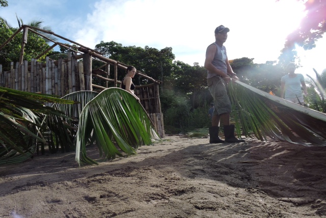 Volunteer Montezuma, Costa RicA AT REFUGIO Romelia | Refugio Nacional ...