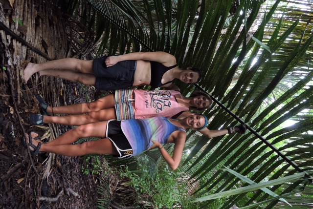 Volunteer Montezuma, Costa RicA AT REFUGIO Romelia | Refugio Nacional ...