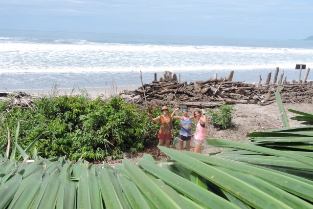 Volunteer Montezuma, Costa RicA AT REFUGIO Romelia | Refugio Nacional ...