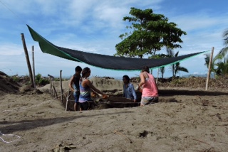 Volunteer Montezuma, Costa RicA AT REFUGIO Romelia | Refugio Nacional ...