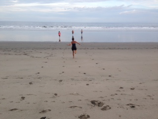 Volunteer Montezuma, Costa RicA AT REFUGIO Romelia | Refugio Nacional ...