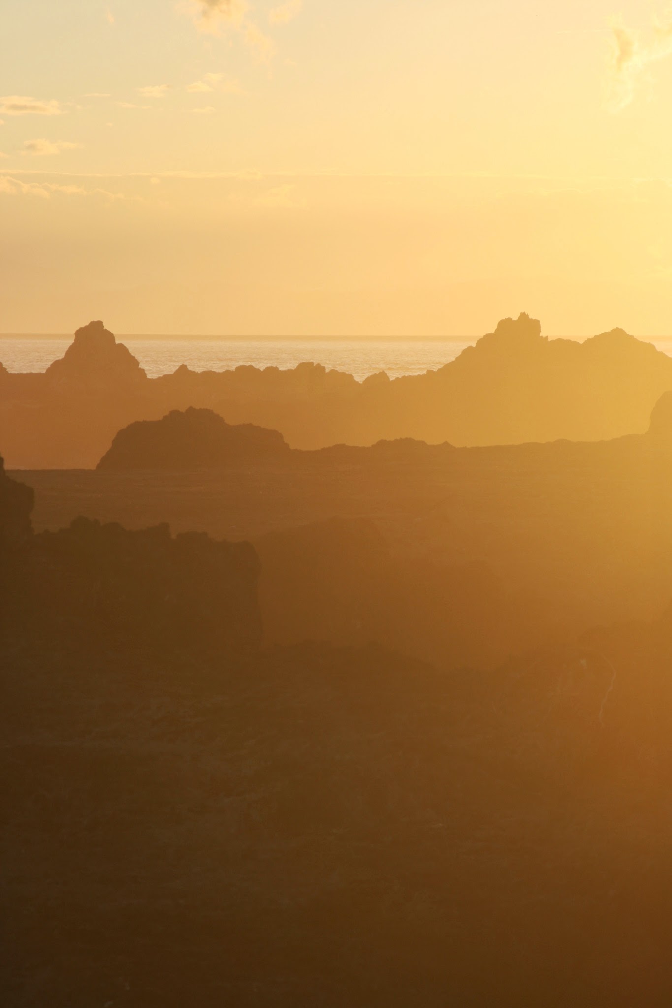 Volunteer Montezuma, Costa RicA AT REFUGIO Romelia | Refugio Nacional ...