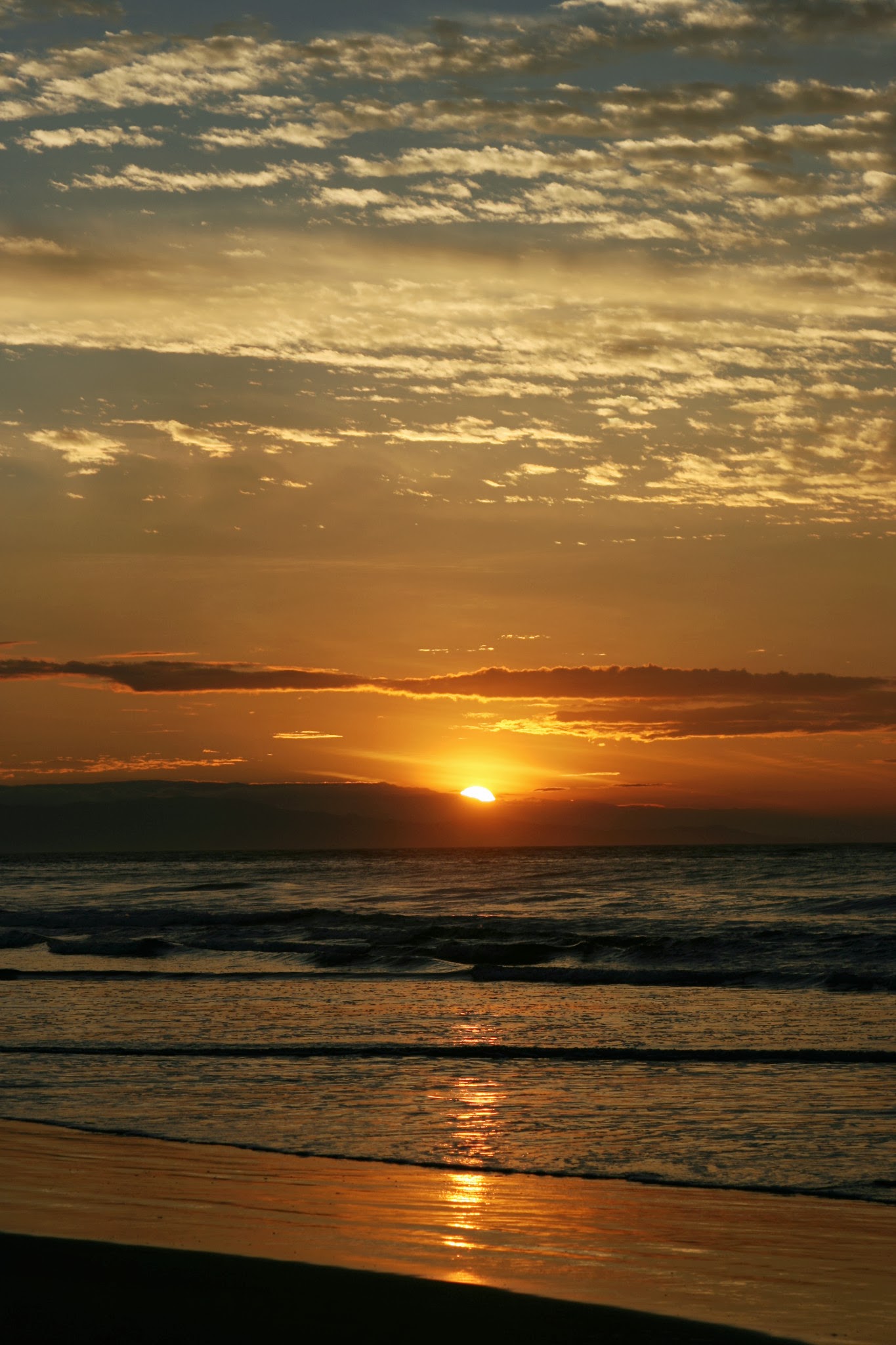 Volunteer Montezuma, Costa RicA AT REFUGIO Romelia | Refugio Nacional ...