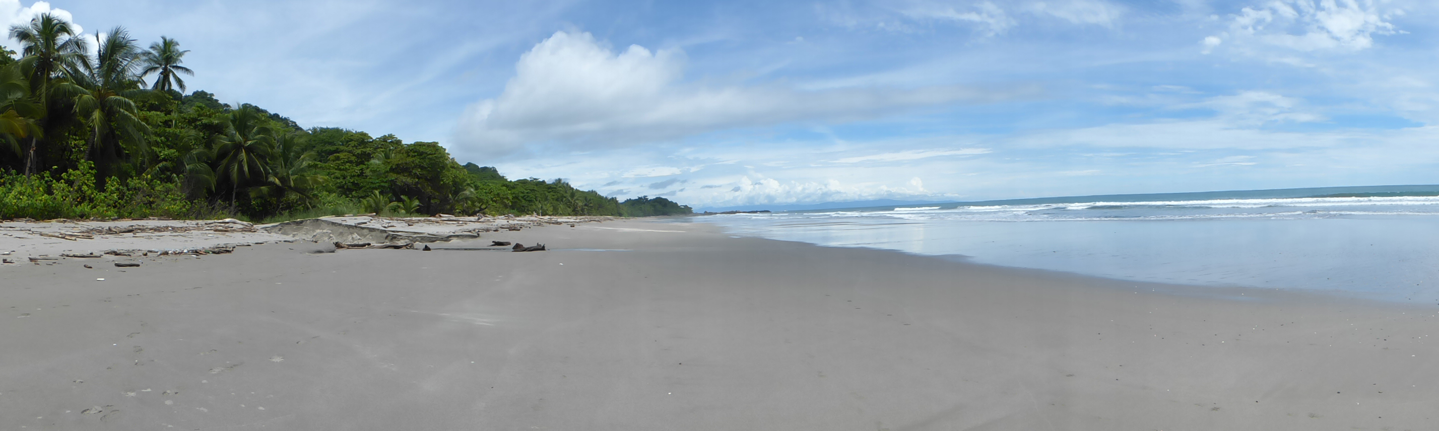 Volunteer Montezuma, Costa RicA AT REFUGIO Romelia | Refugio Nacional ...