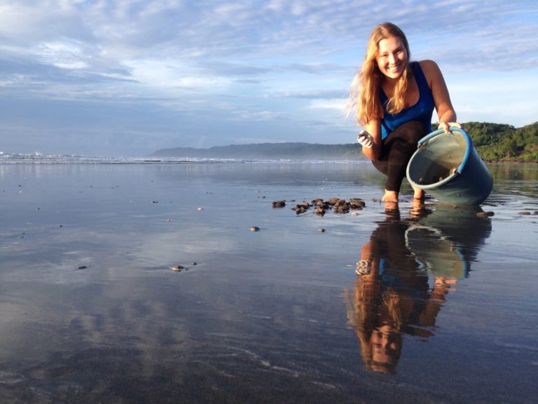 Northern ghost bats (diclidurus albus - Refugio Nacional de Vida ...